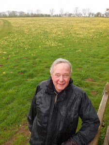 Courtyard Farm Cowslips - The Fairyland Trust