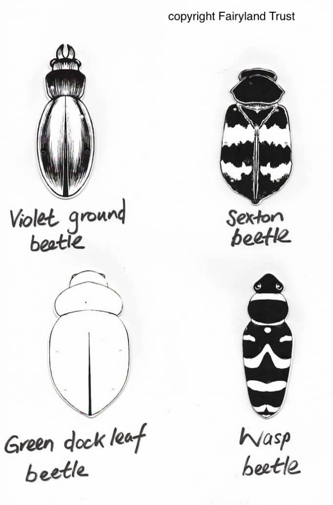Bug Bling Beetles Template - The Fairyland Trust